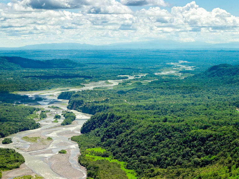 The real importance of the Amazon rainforest